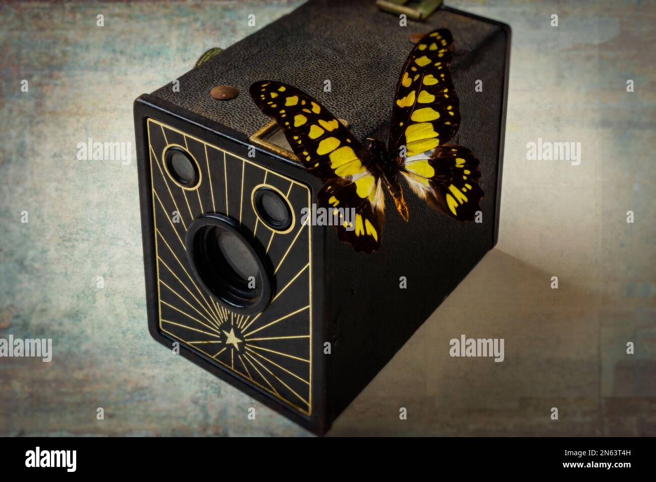 Butterfly On Old Camera Stock Photo - Alamy