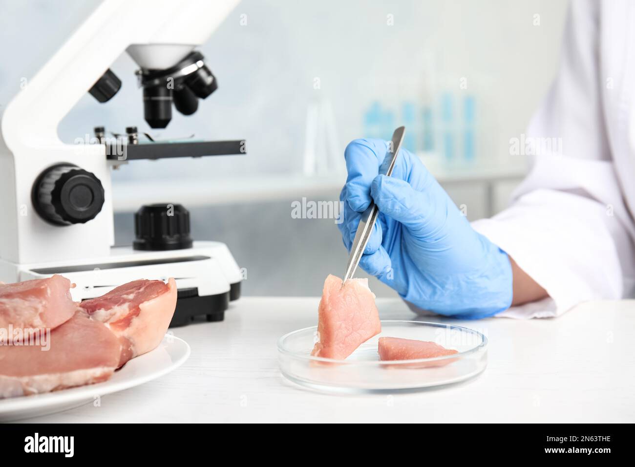 Scientist with raw meat at table in laboratory, closeup. Poison ...