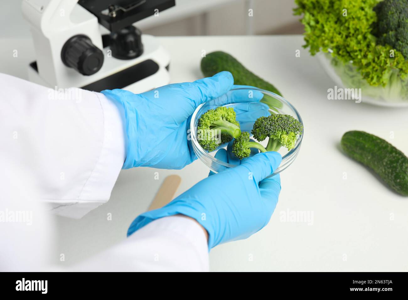 Scientist holding Petri dish with broccoli over table in laboratory ...
