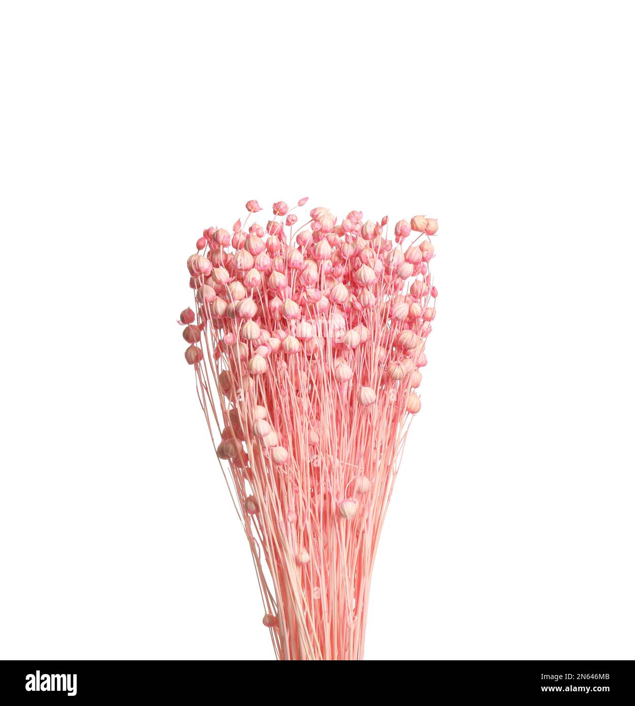 Bouquet of dried flowers on white background Stock Photo - Alamy