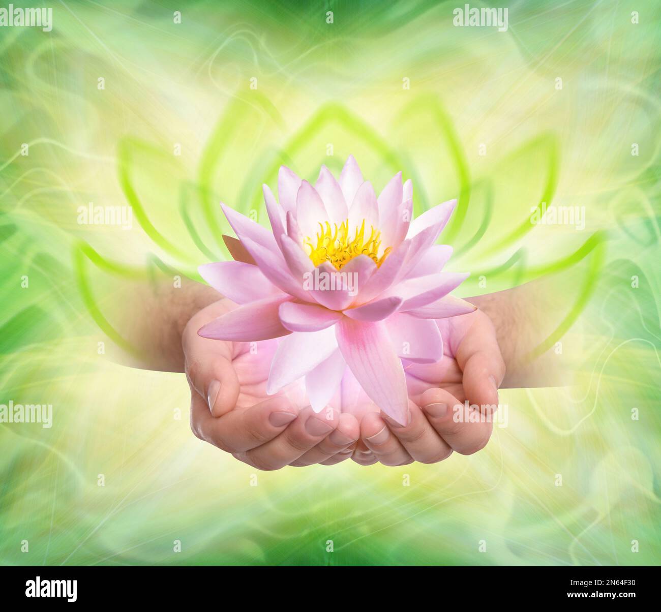 Hands holding lotus flower hi-res stock photography and images - Alamy