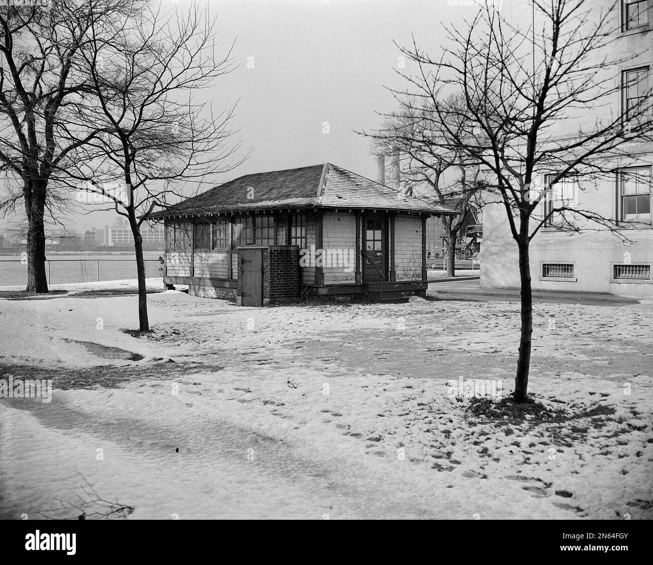 Mary Mallon, a typhoid carrier, known as "Typhoid Mary" lives in a ...