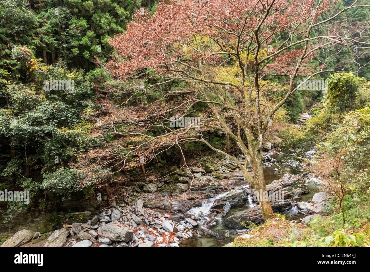 Fujikawadani river hi-res stock photography and images - Alamy