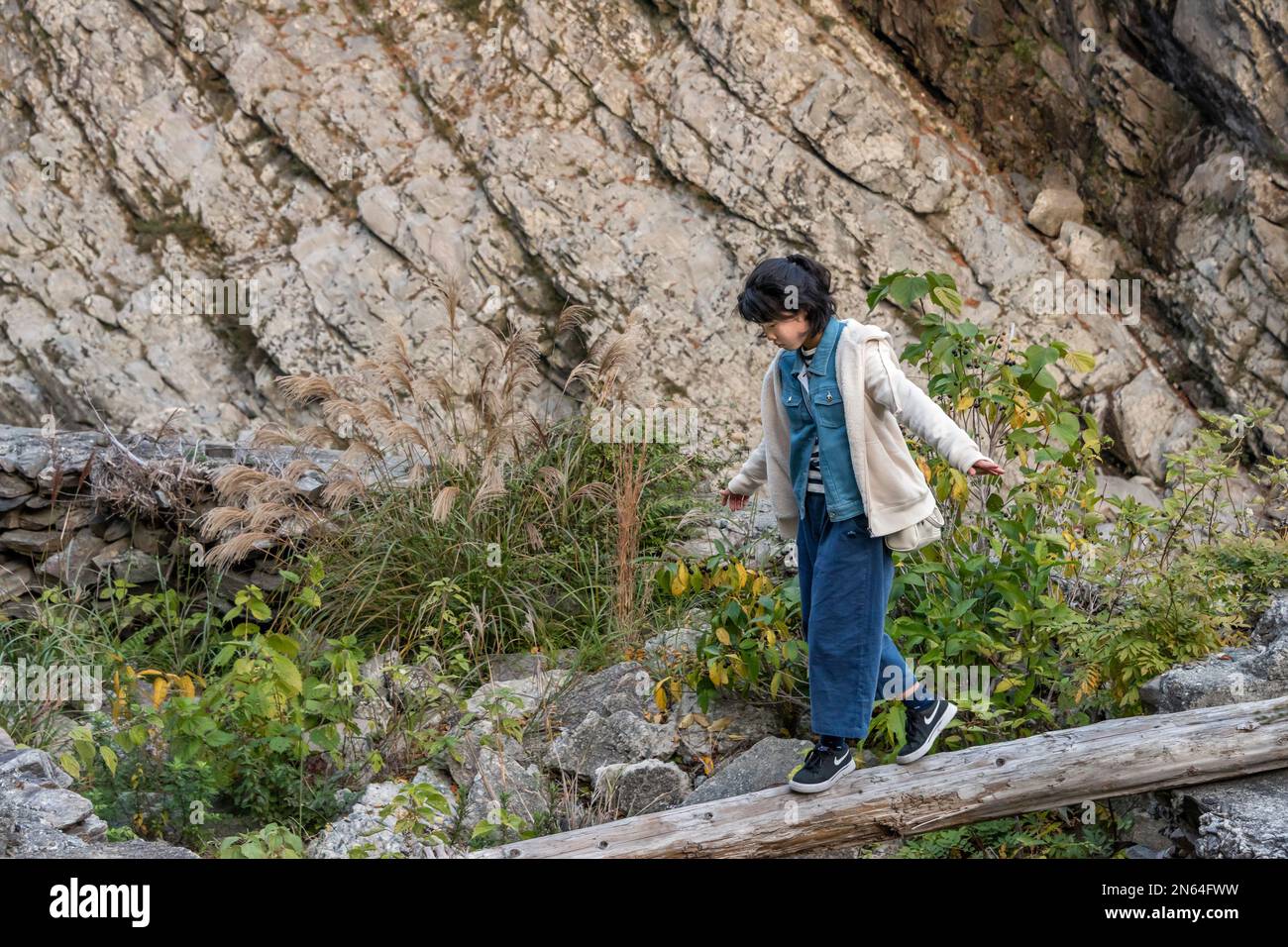 Japanese girl crossing a log, Yoshino River, Shikoku Island, Japan ...