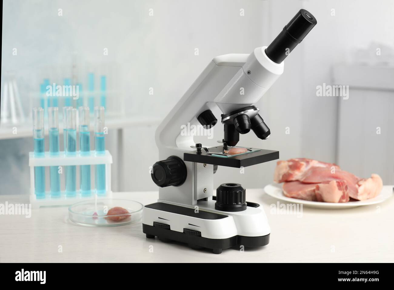 Slide with meat sample on microscope in laboratory. Poison detection ...