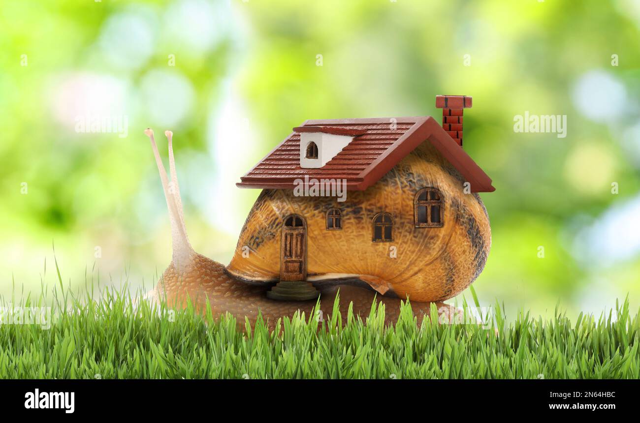 Fantasy world. Magic snail with its shell house moving on green meadow ...