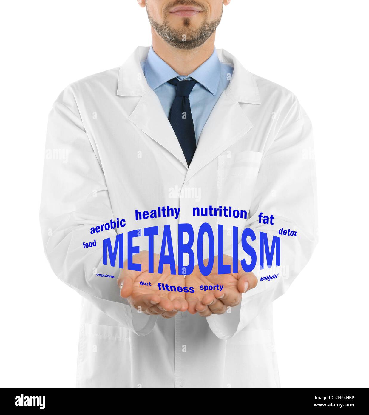 Metabolism concept. Doctor presenting scheme on white background ...