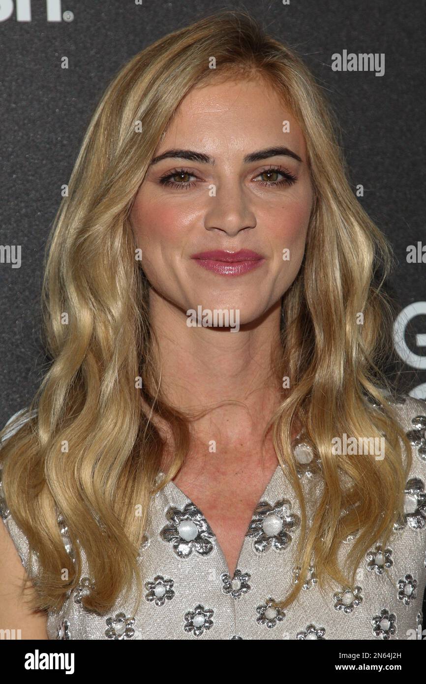 Actress Emily Wickersham arrives at the Hollywood Foreign Press ...