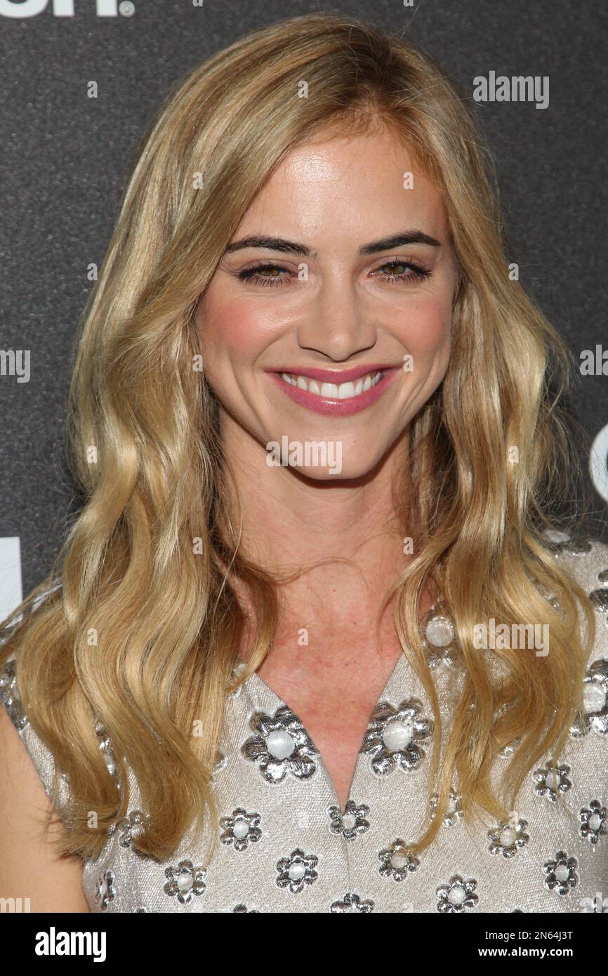 Actress Emily Wickersham arrives at the Hollywood Foreign Press ...