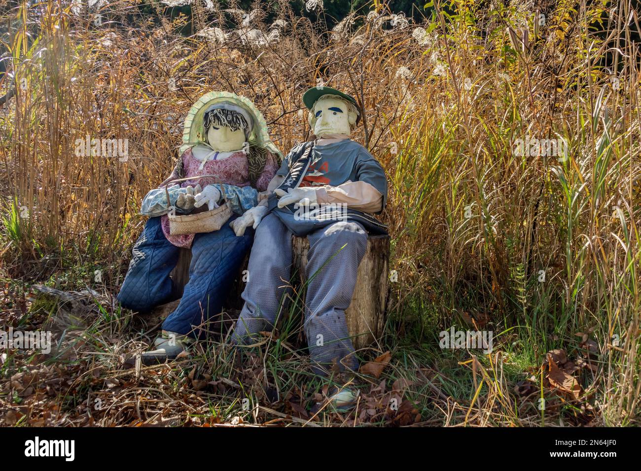 Scarecrow dolls (kakashi) in Nagoro village, Iya Valley, Shikoku Island ...
