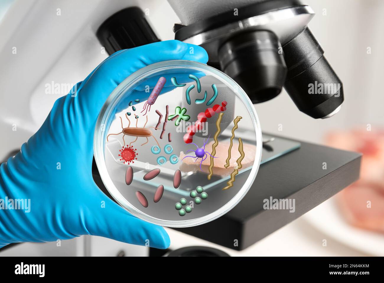Scientist holding Petri dish with microbes, closeup. Laboratory ...