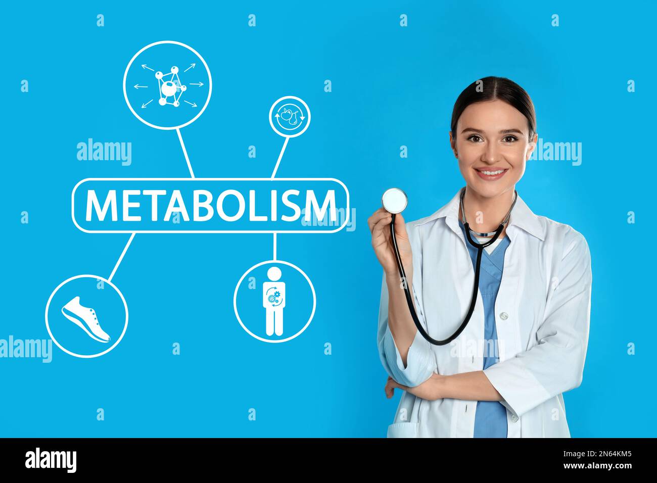 Metabolism concept. Doctor with stethoscope on blue background Stock ...