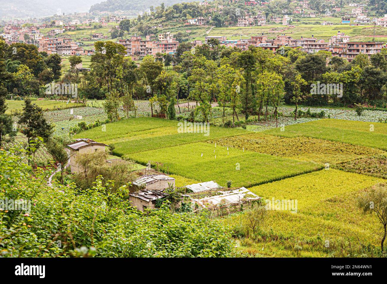 The rural countryside of Nepal with rice fields and homestead Stock ...