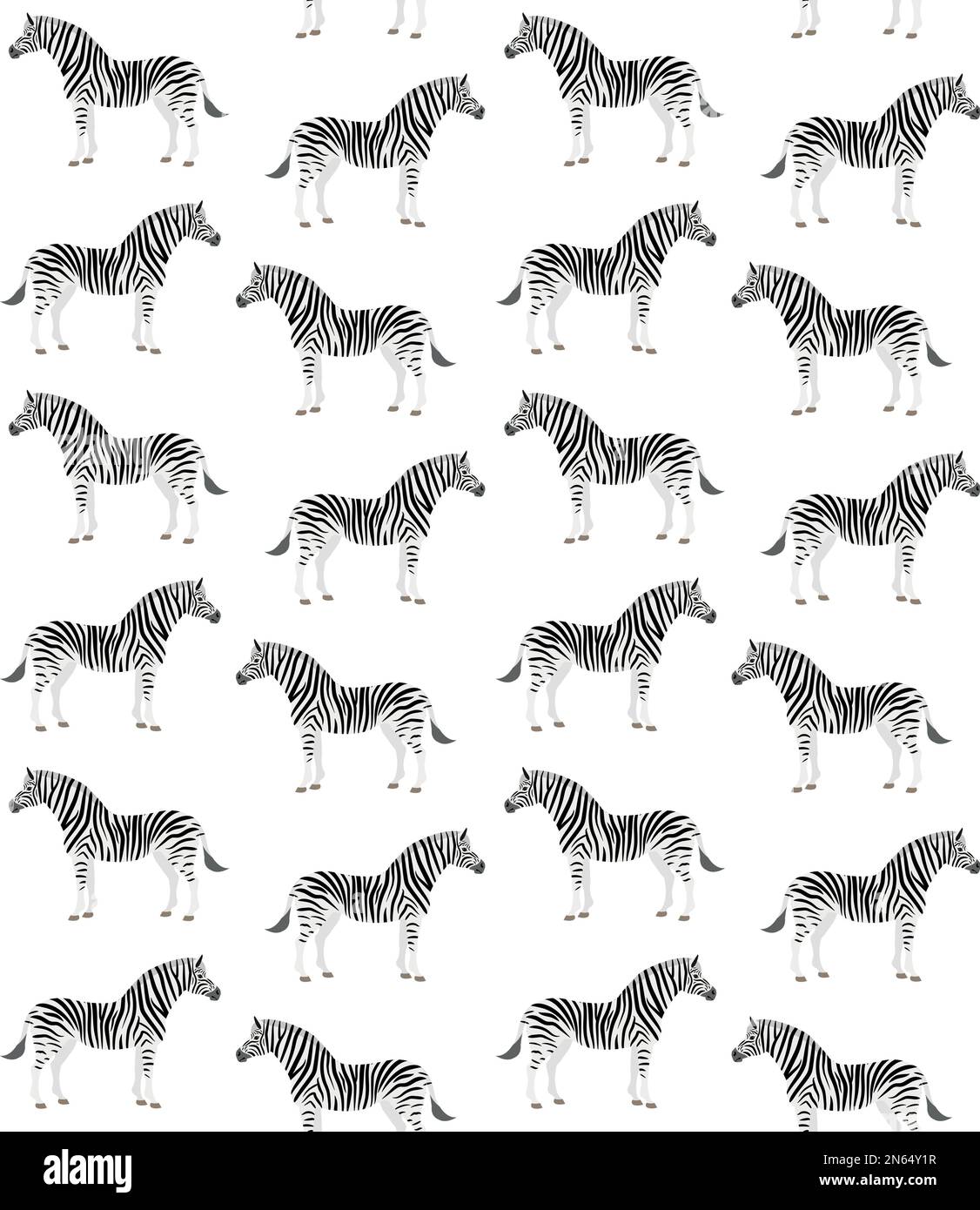 Vector seamless pattern of flat zebra isolated on white background ...