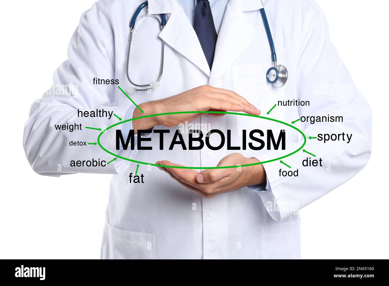 Metabolism concept. Doctor presenting scheme on white background ...