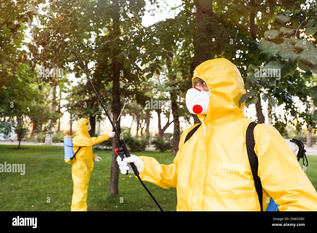 Workers spraying pesticide onto tree outdoors. Pest control Stock Photo ...