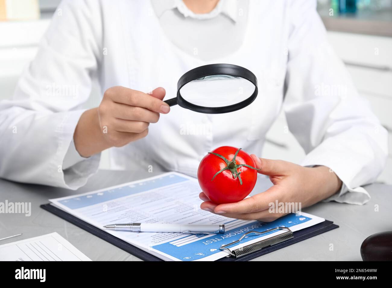 Scientist with magnifying glass exploring tomato at table in laboratory ...
