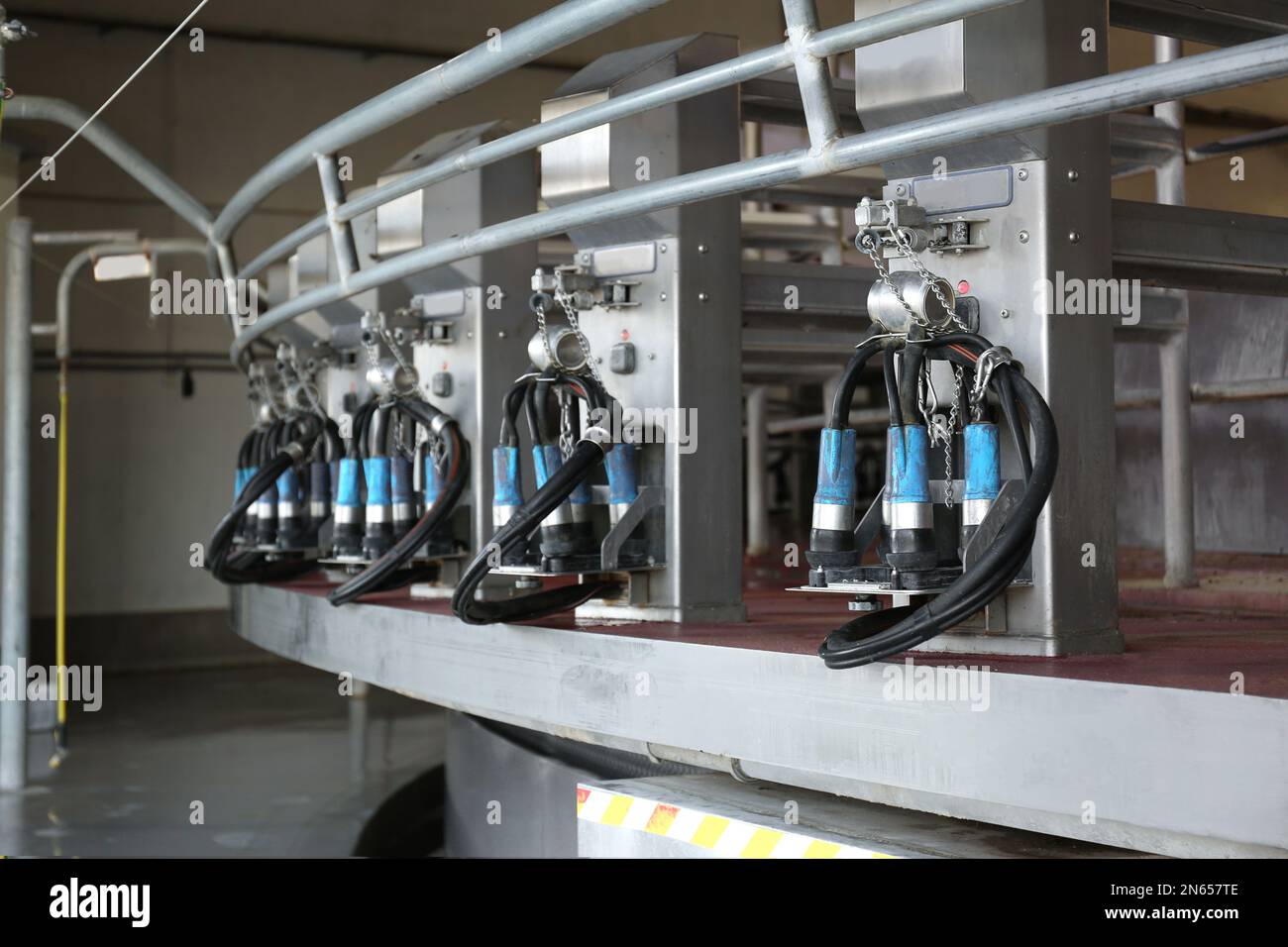 Automatic milking hi-res stock photography and images - Alamy
