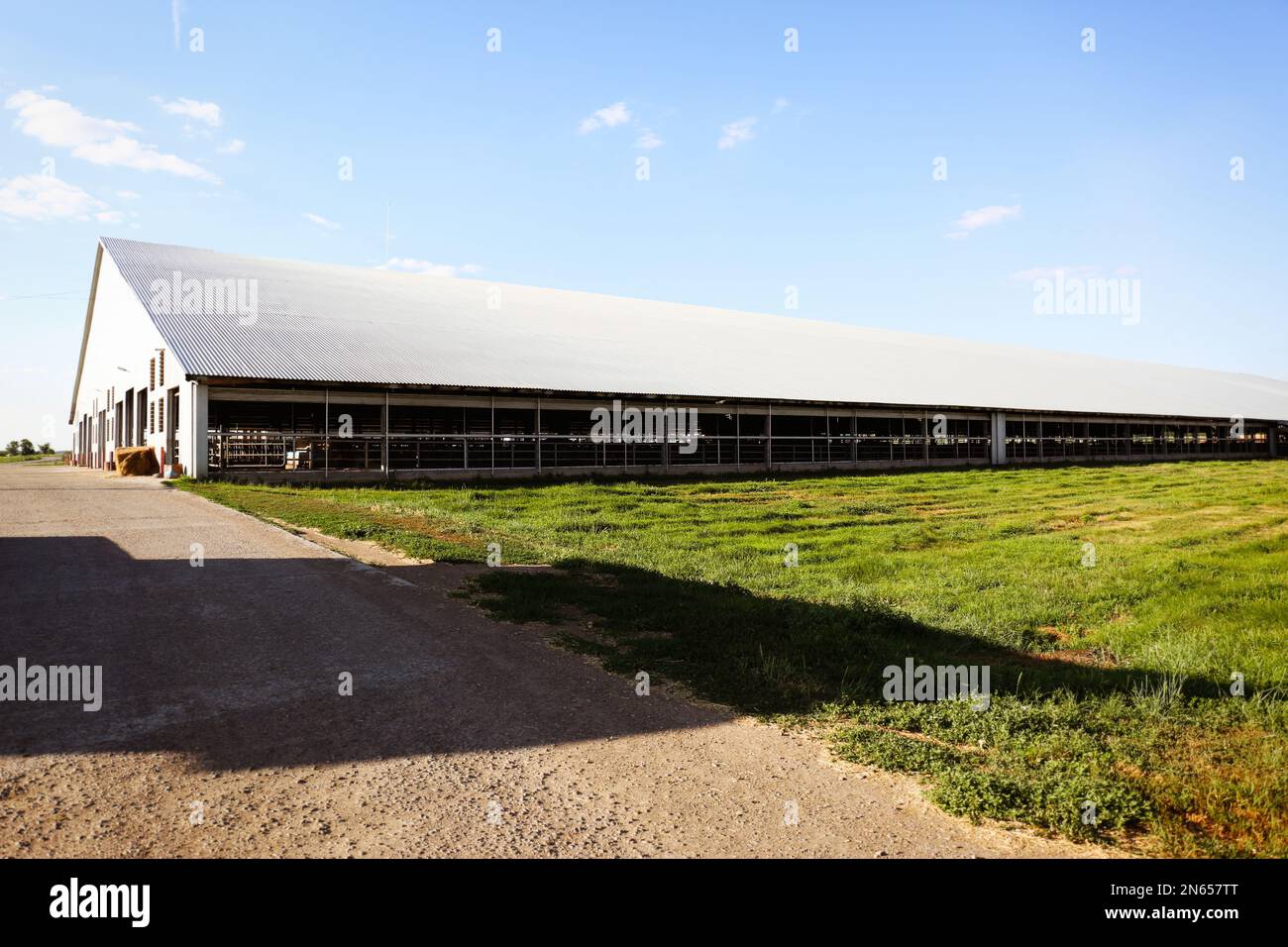 Cow house hi-res stock photography and images - Alamy