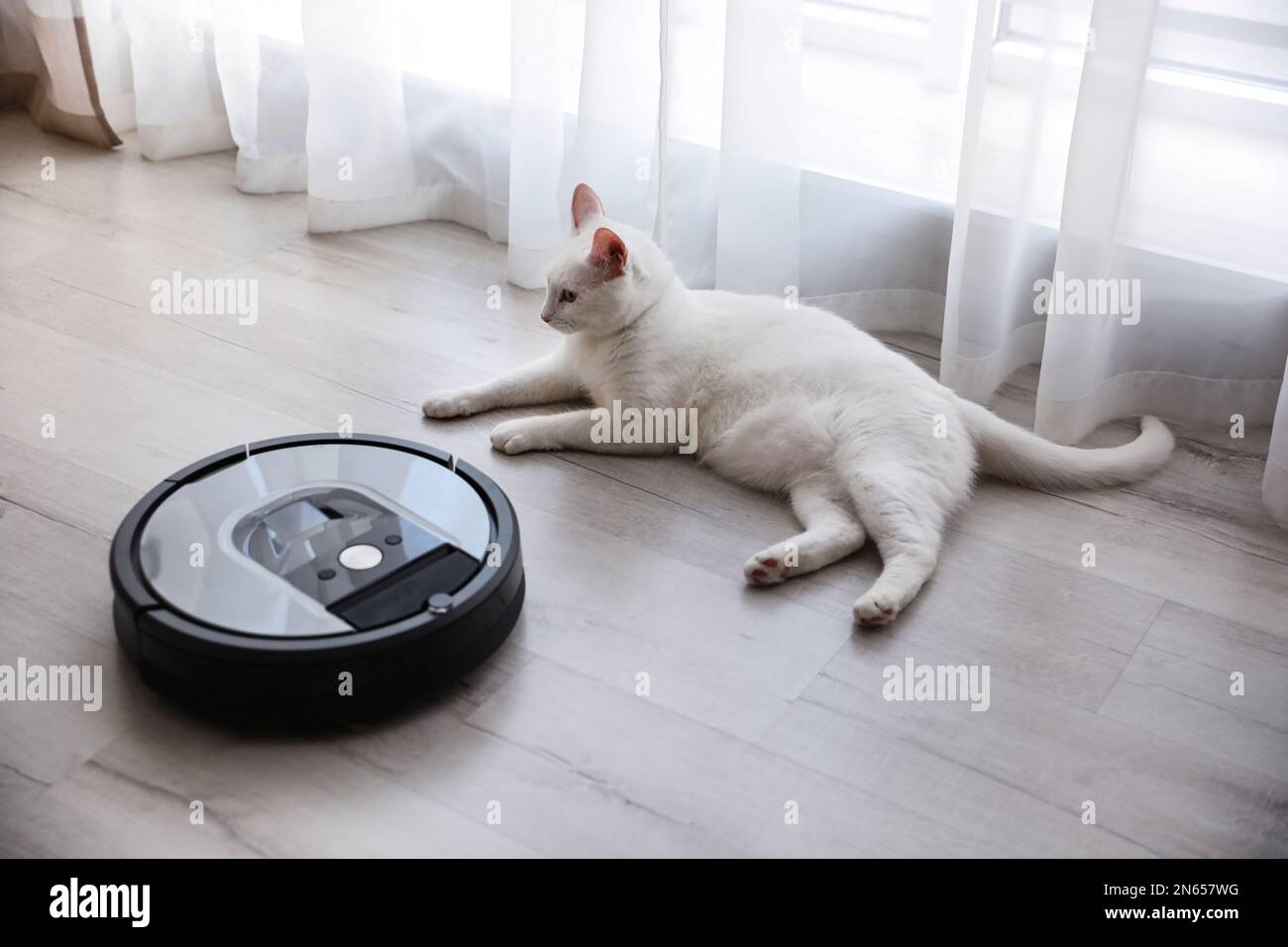 Modern robotic vacuum cleaner and cute cat on floor indoors Stock Photo ...