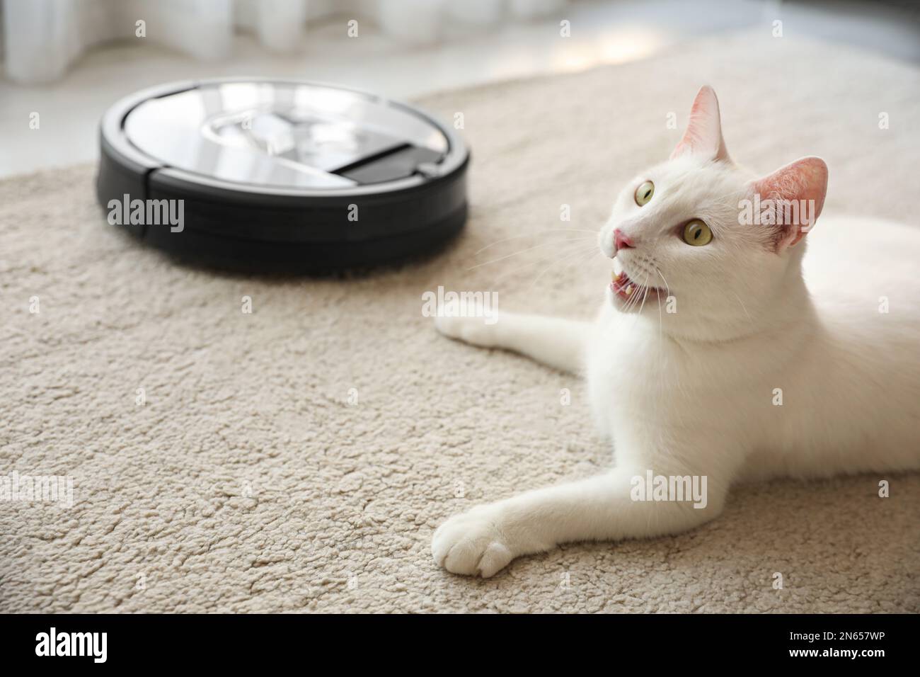 Modern robotic vacuum cleaner and cute cat on floor indoors Stock Photo ...