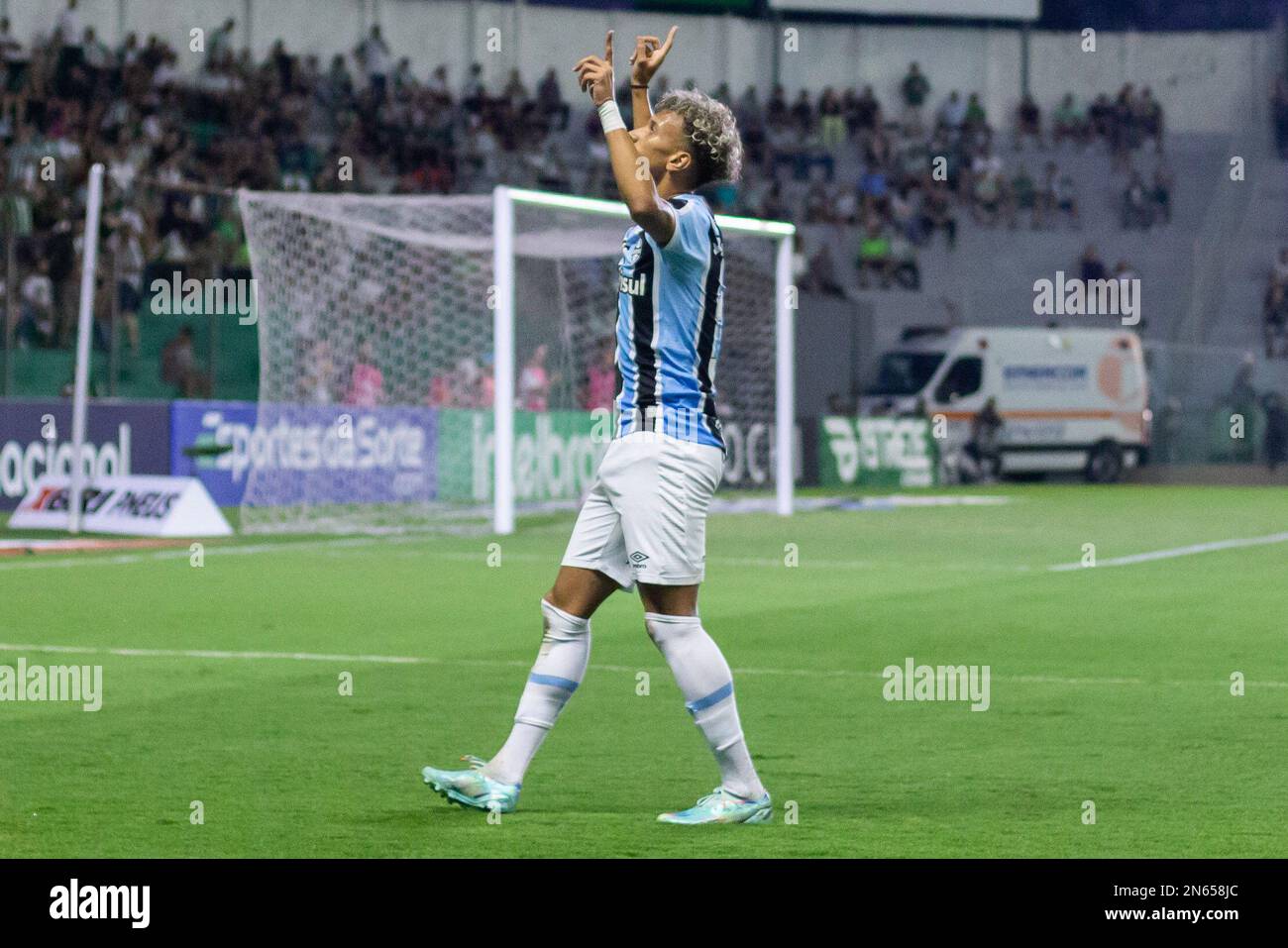 Bitello hi-res stock photography and images - Alamy