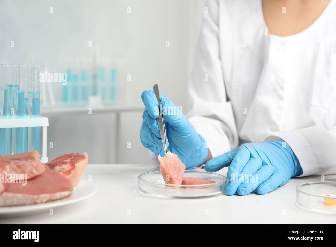 Scientist with raw meat at table in laboratory, closeup. Poison ...
