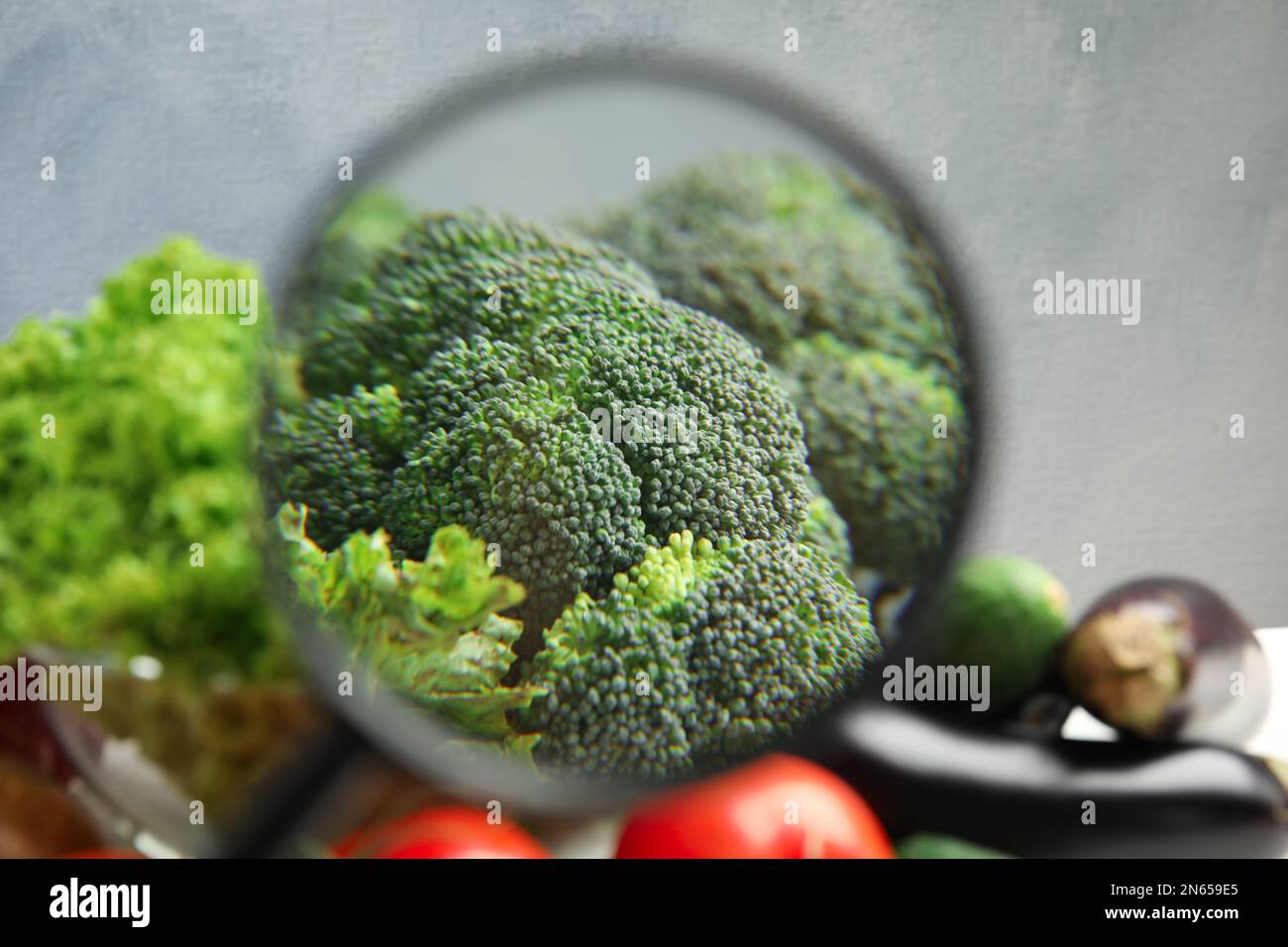 View through magnifying glass on broccoli, closeup. Poison detection ...