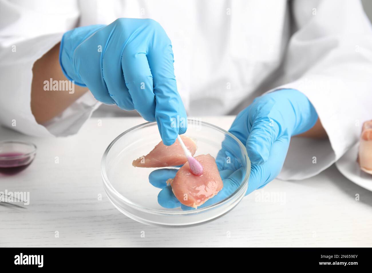 Scientist inspecting meat at table in laboratory, closeup. Poison ...