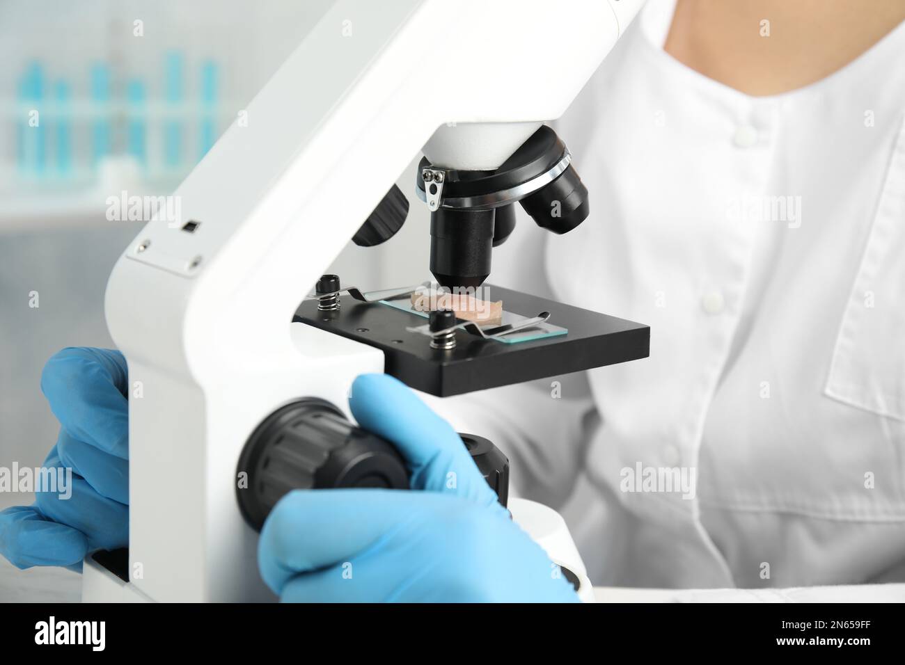 Scientist inspecting meat sample with microscope in laboratory, closeup ...