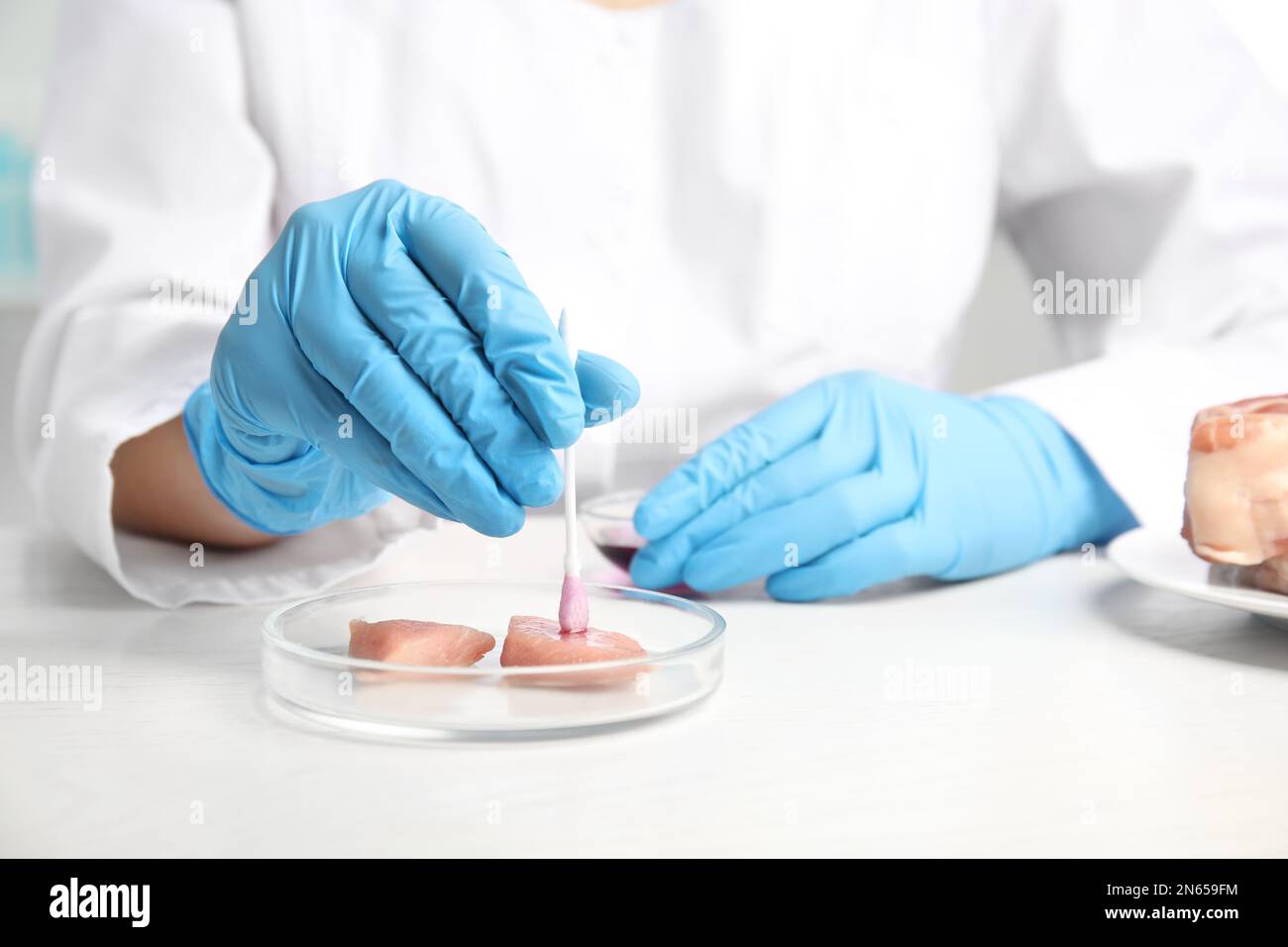 Scientist inspecting meat at table in laboratory, closeup. Poison ...