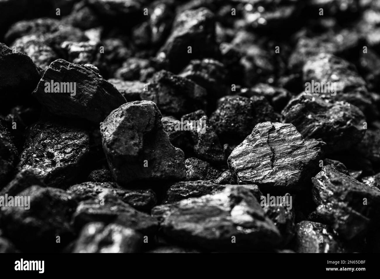 Closeup view natural color Black and White Stock Photos & Images - Alamy