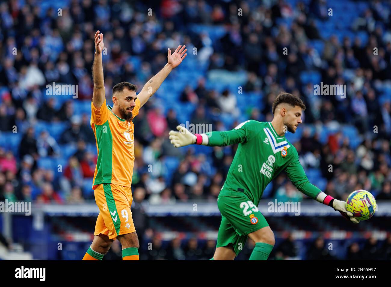 BARCELONA - JAN 21: Borja Iglesias in action at the LaLiga match ...