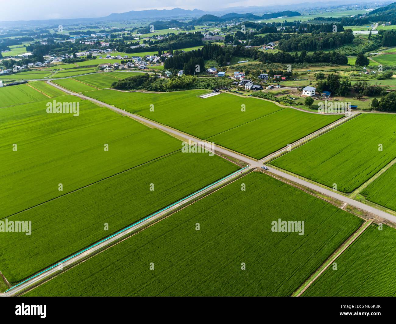 Rice field, farmer's houses, foot of mountains, Drone aerial, Yokote ...