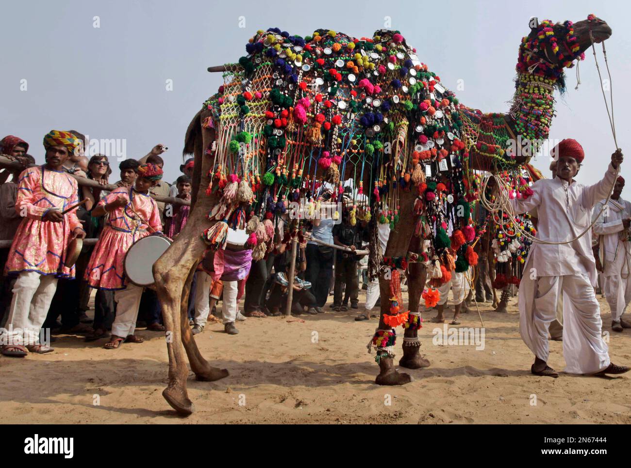 An Indian camel herder displays his camel during a camel decoration ...