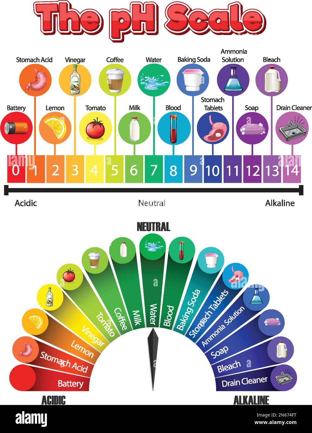 The pH scale of common chemicals illustration Stock Vector Image & Art ... The pH scale of common chemicals illustration Stock Vector Image & Art ...