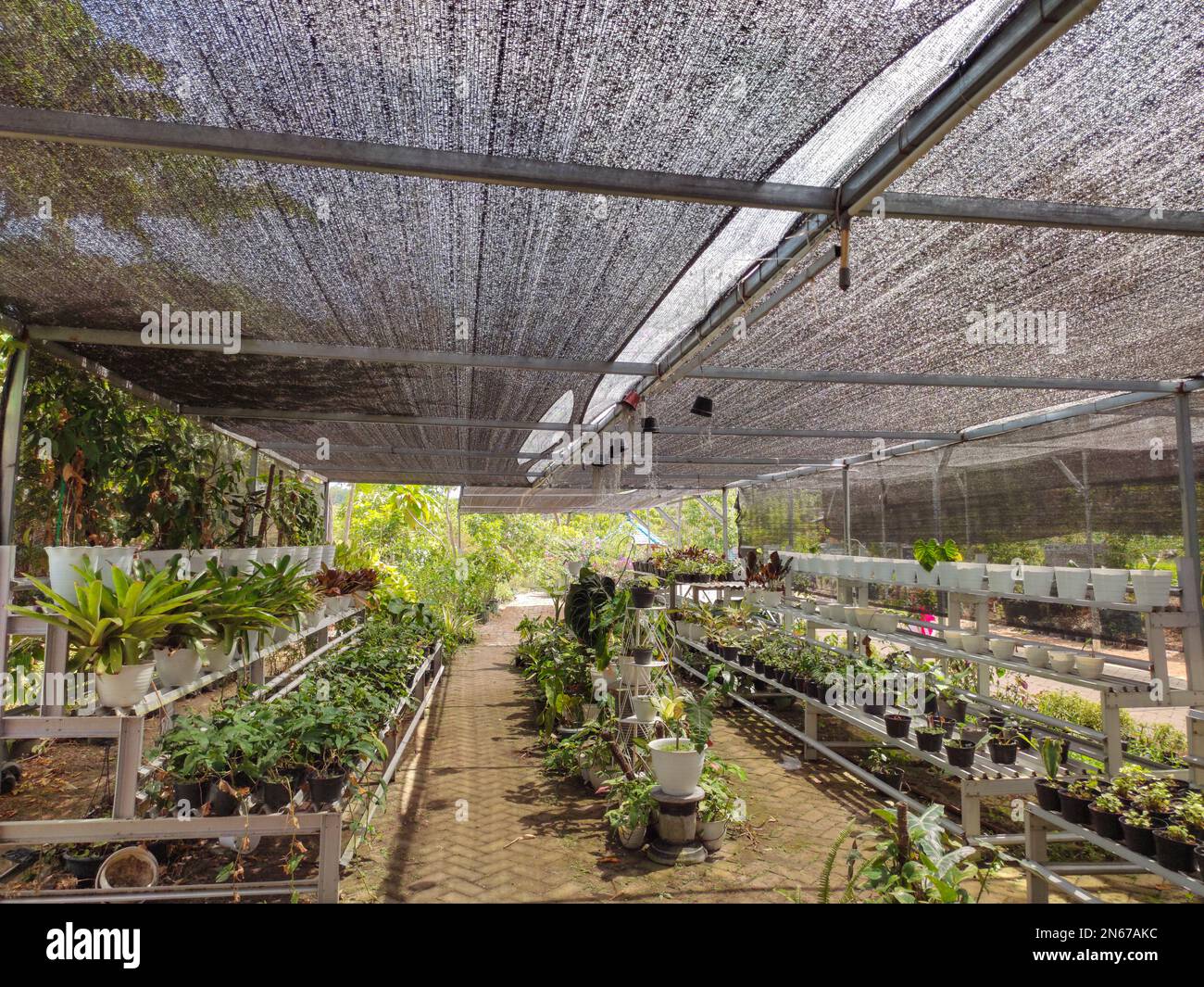 Shade netting garden hi-res stock photography and images - Alamy