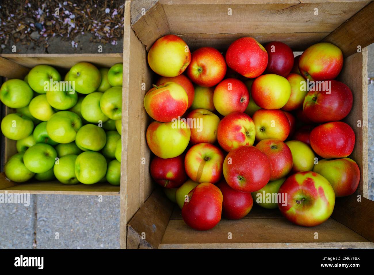 Organic apples in crates at a farmers market Stock Photo - Alamy