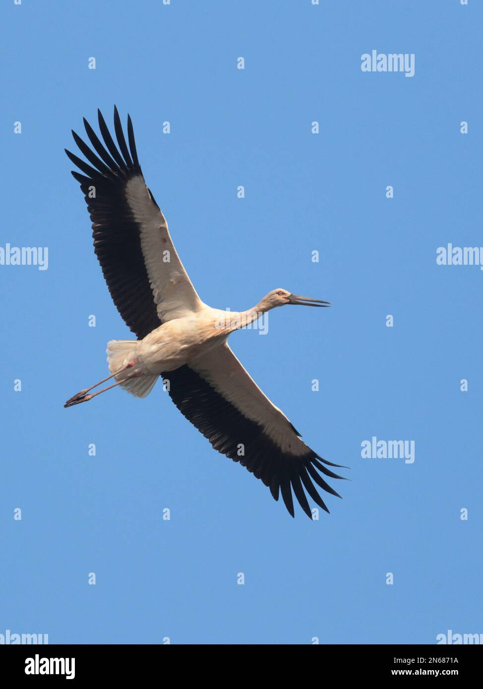 20 jan 2023 hi-res stock photography and images - Alamy