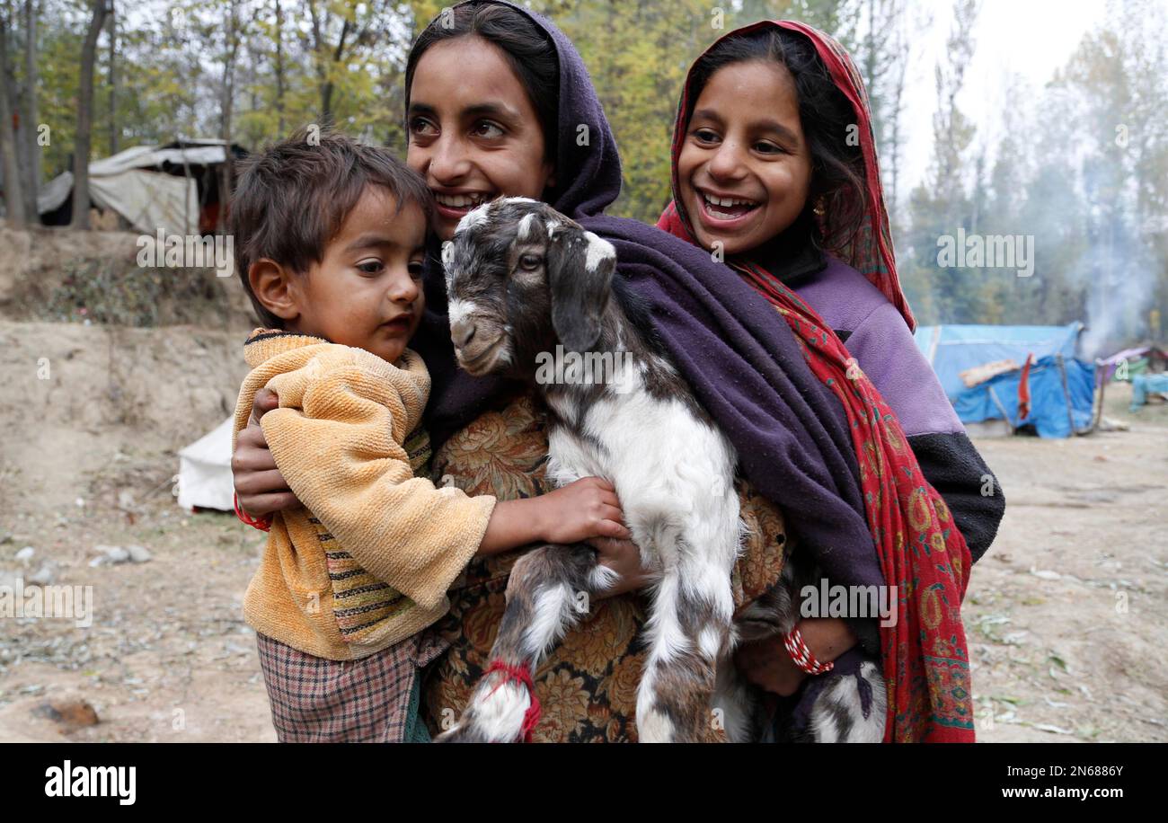 Kashmiri Bakarwal nomad children pose for photographs outside their ...