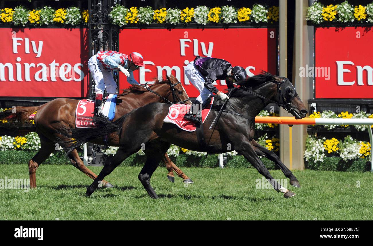 Fiorente (6) ridden by Australian jockey Damien Oliver crosses the ...