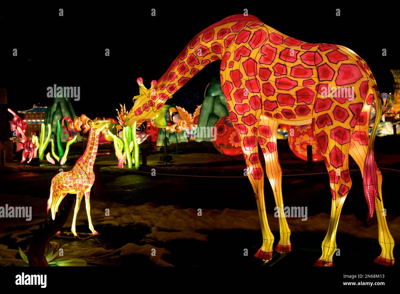 Lantern Festival in Toronto - Africa animal - giraffe Stock Photo - Alamy