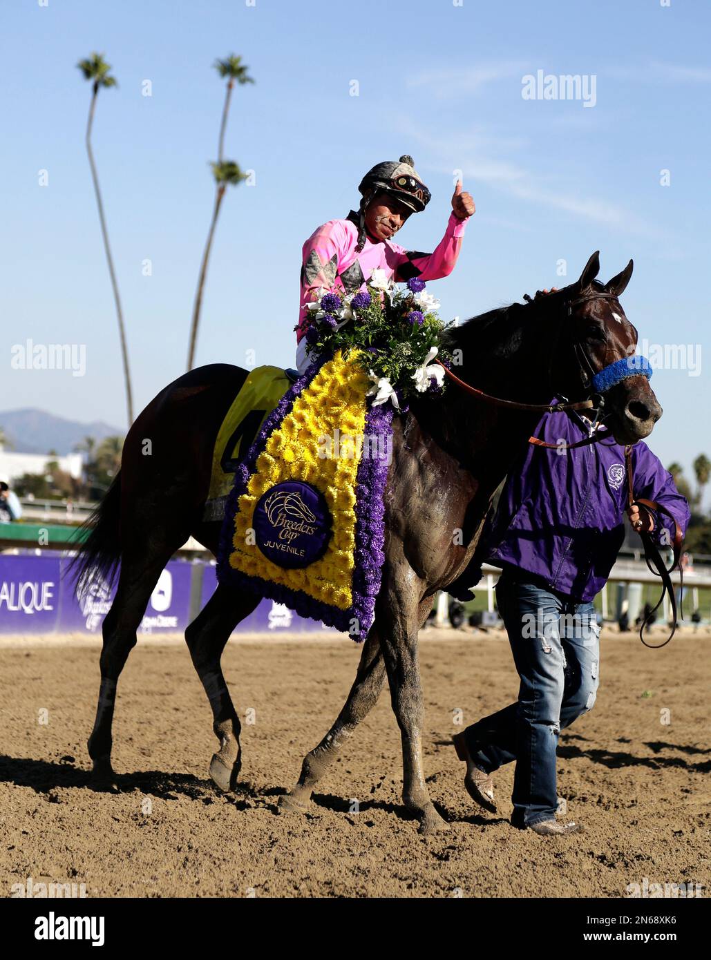 Jockey Martin Garcia celebrates after New Year's Day won the Breeders ...