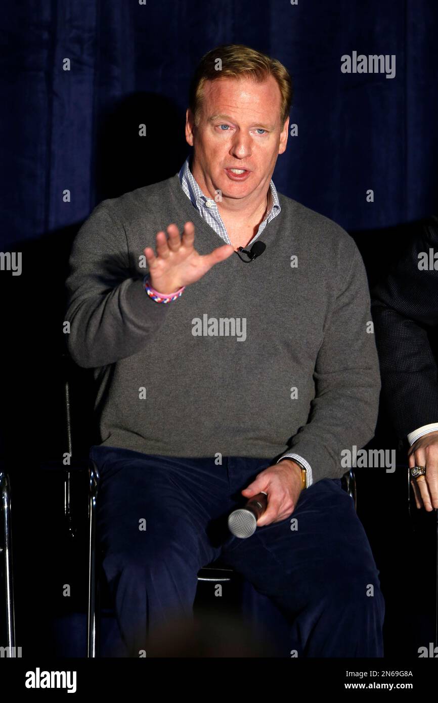 NFL Commissioner Roger Goodell speaks during a safety clinic hosted by ...