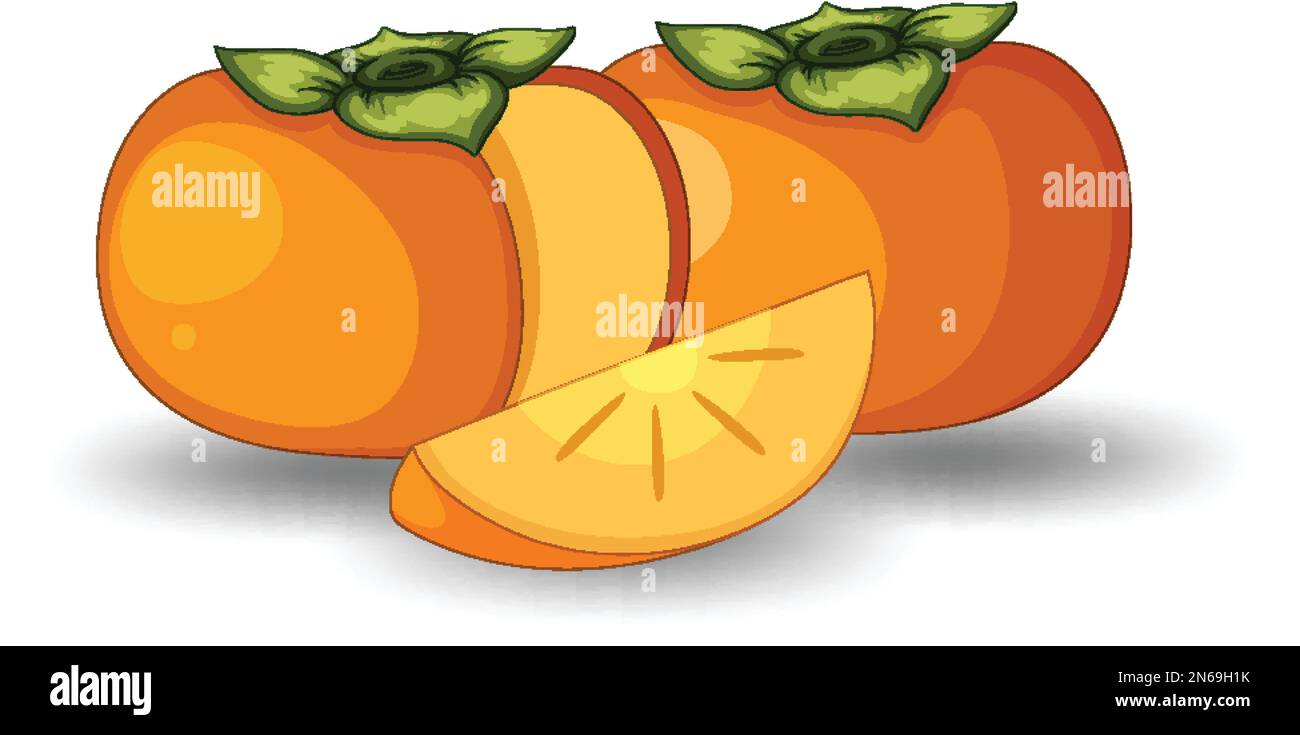 Whole persimmon and chopped illustration Stock Vector Image & Art - Alamy