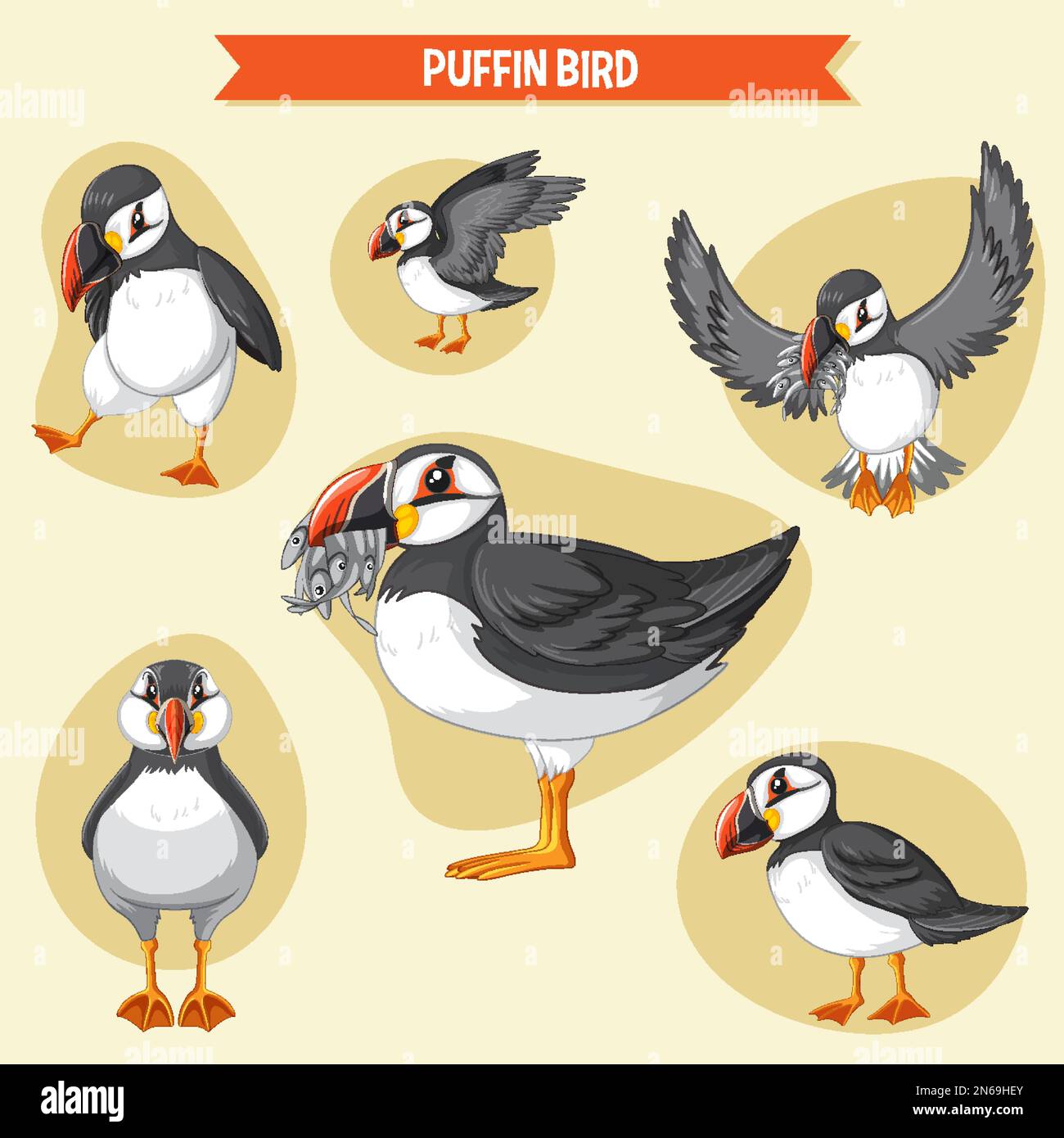 Puffin in sea Stock Vector Images - Alamy