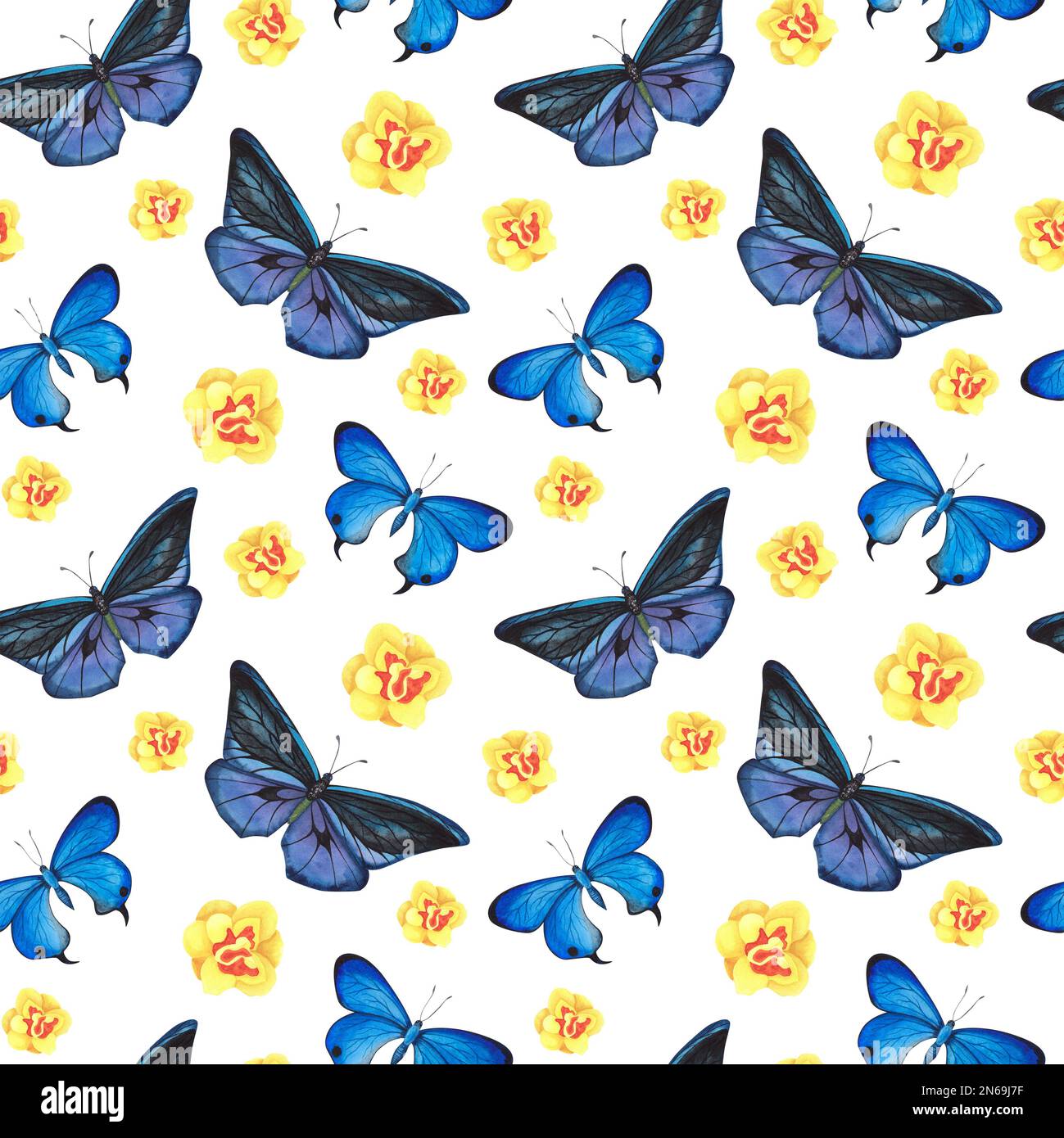 seamless pattern Blue, violet butterfly with daffodils flowers isolated ...