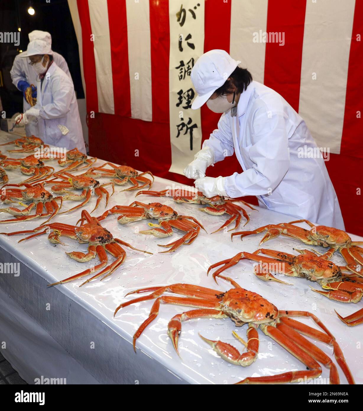 Photo taken on Feb. 9, 2023, in Sakai in Fukui Prefecture, central ...