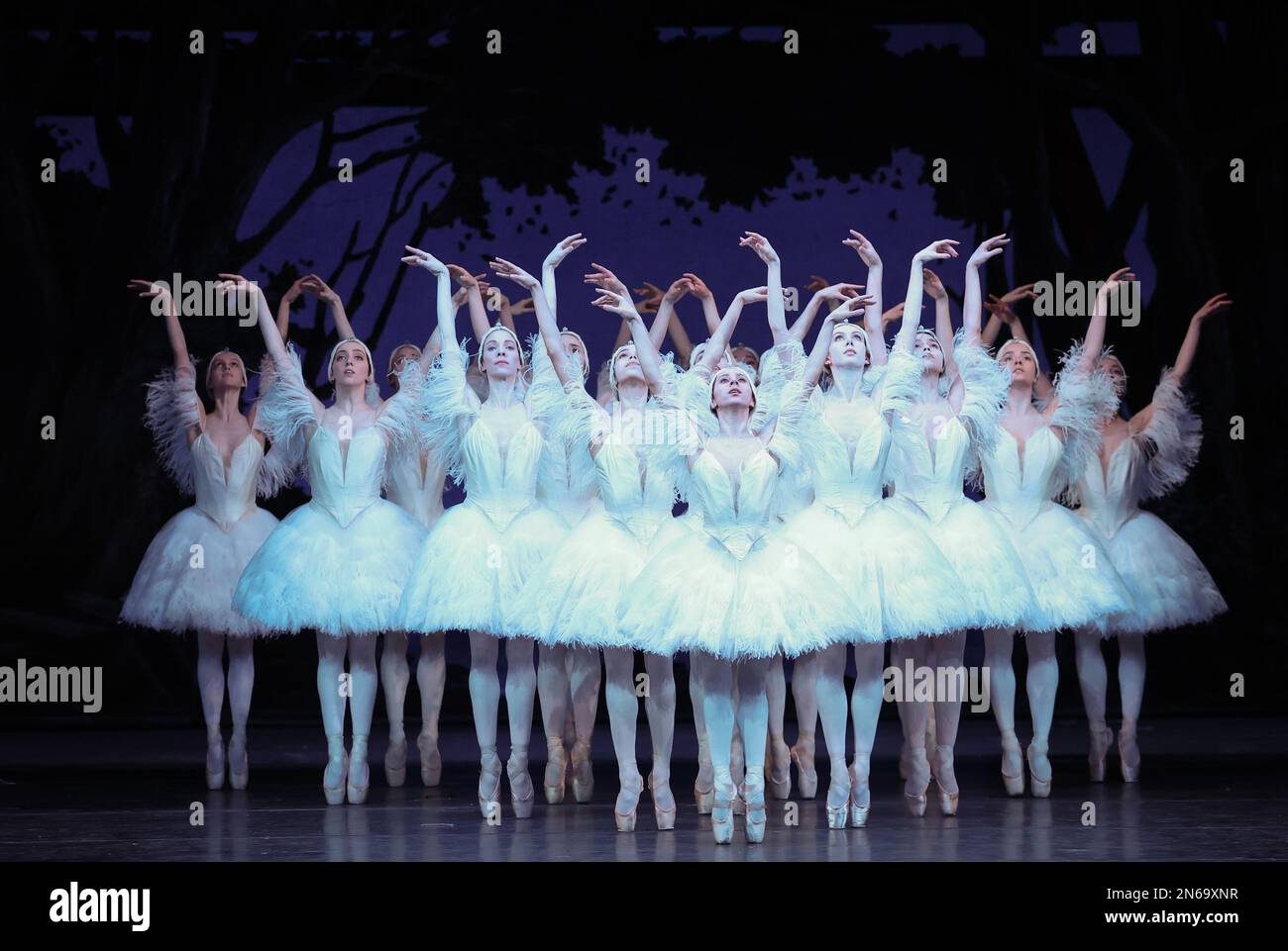 Hamburg, Germany. 09th Feb, 2023. Dancers as "swans" dance during a ...