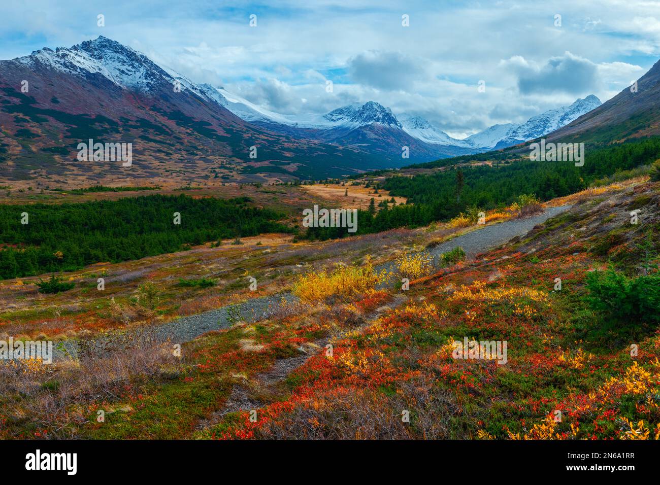 autumn in Alaska Stock Photo - Alamy